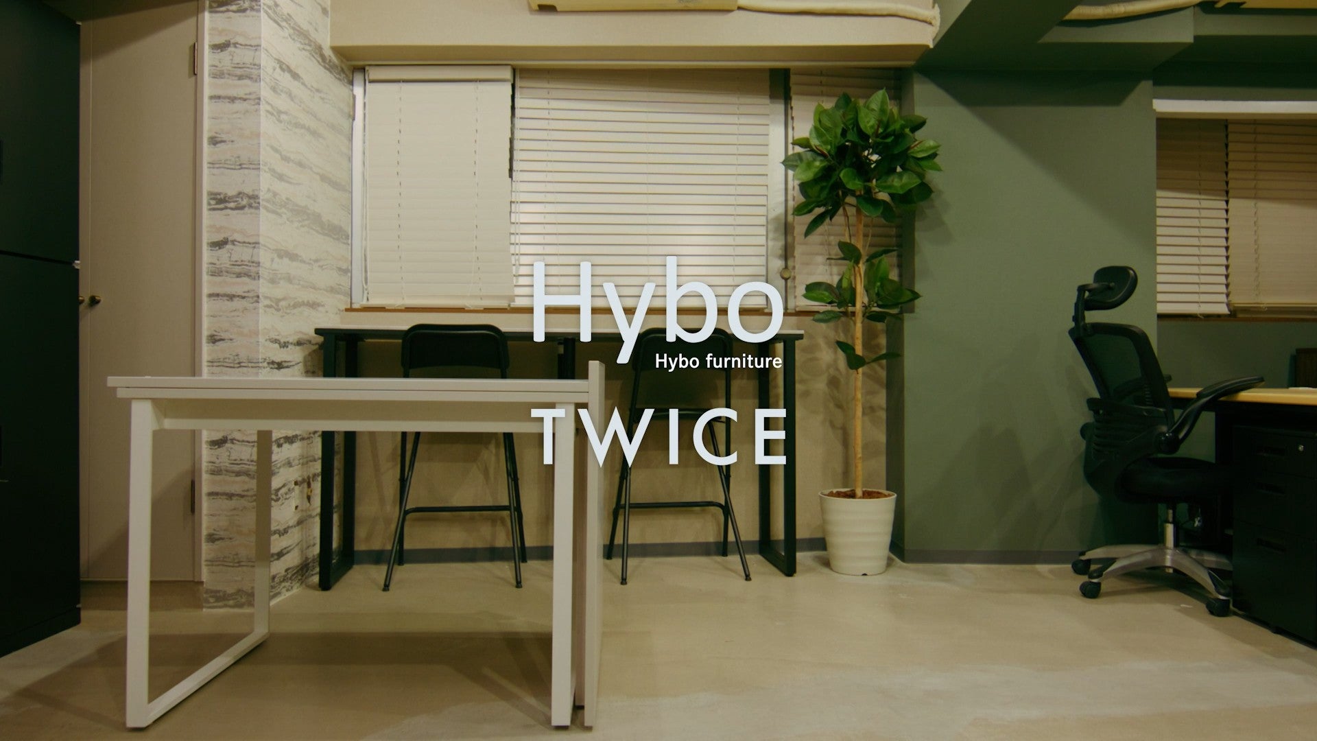TWICE / ウォールナット × シャンパングレー – Hybo